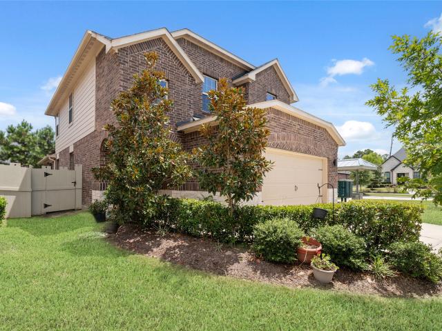 16451 Rosary Pea Place