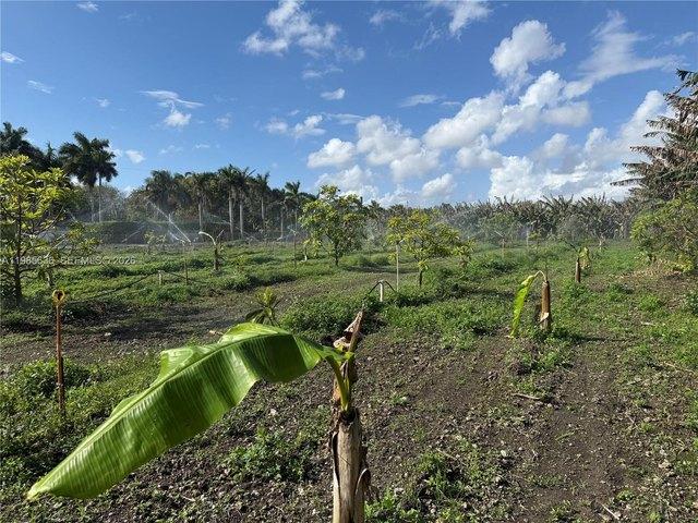 16455 SW 207th Ave, Miami, FL 33187