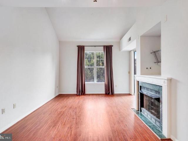 1645 International Drive # 411