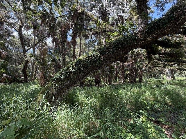 16477 NW 192nd St, Okeechobee, FL 34972