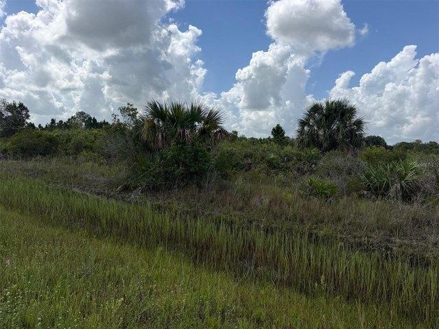 16474 NW 258th St, Okeechobee, FL 34972