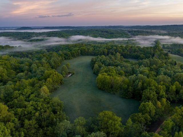 1647 Groveland Ridge Rd, Columbia, TN 38401