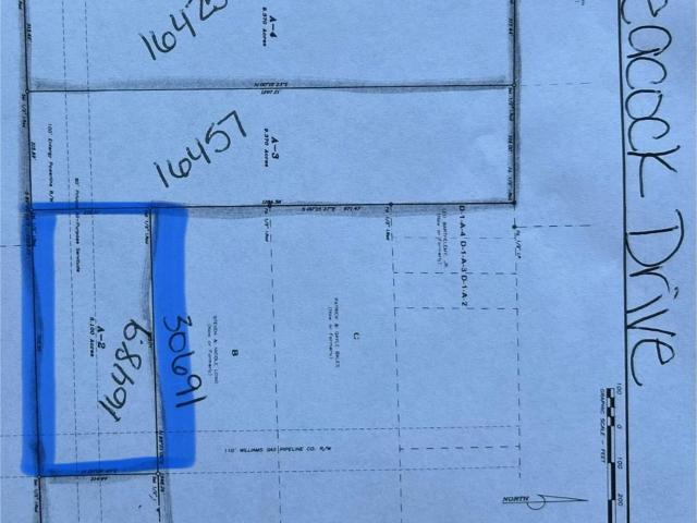 16489 Peacock Dr, Walker, LA 70785 | MLS #BR2024019 | Compass