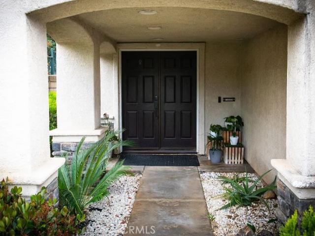 1648 Bluestone