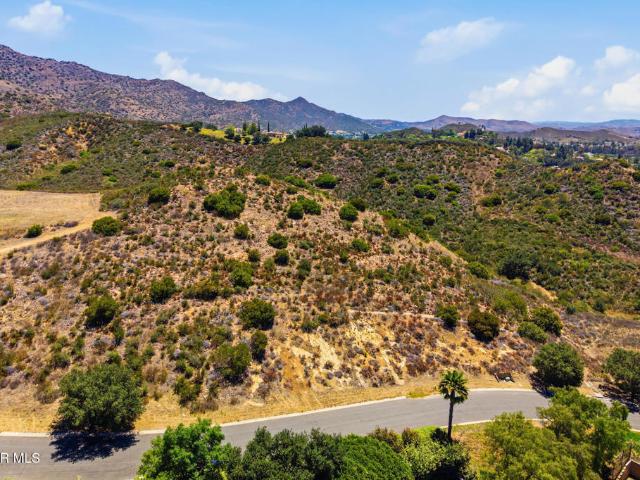 1648 Crown Ridge Court