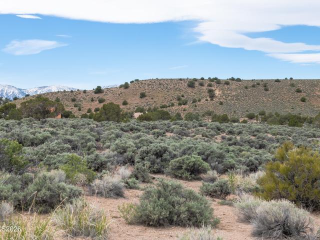 1648 Finch Dr, Gardnerville, NV 89410 | MLS #260004