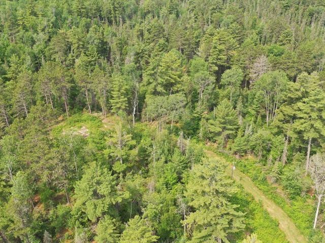 1648 Golden Ridge Trail