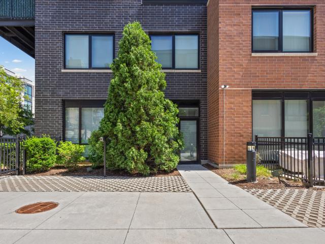 1648 W Division Street # 110