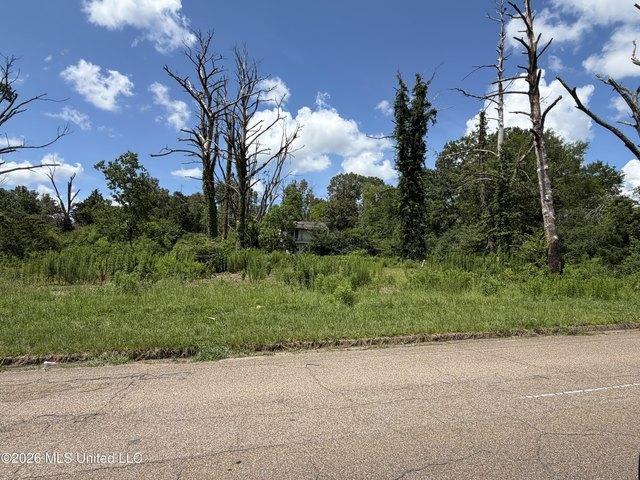 1648 W McDowell Rd, Jackson, MS 39204