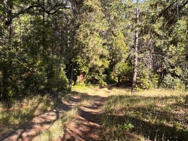 16492 Indiana Ranch Rd, Dobbins, CA 95935