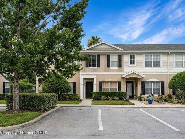 16403 Bellemore Lane Townhomes Pb 50 Pg 0 Vw Unit Swan, Odessa, FL 33556