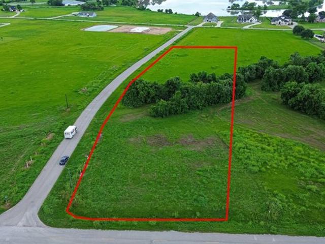 16403 Deerhaven Run, Rosharon, TX 77583