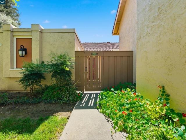 1640 Candelero Ct