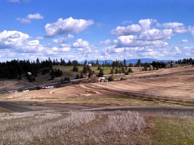 16419 N Dalton Rd, Spokane, WA 99208 | MLS #202613