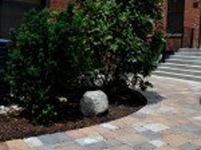1641 Vine St 4 beds, 2 full baths