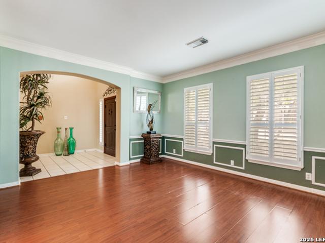 1643 Bold Cypress
