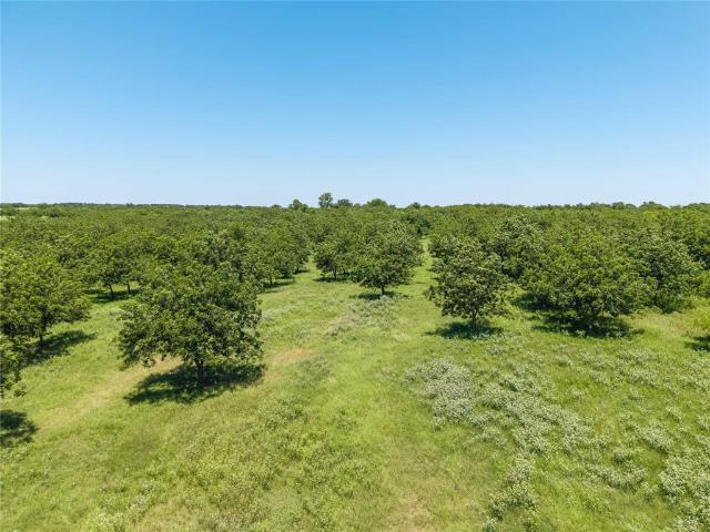 164.08 Acres TBD Highway 2318