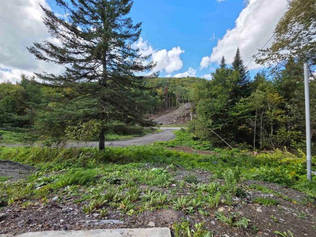 164 Hollow Road