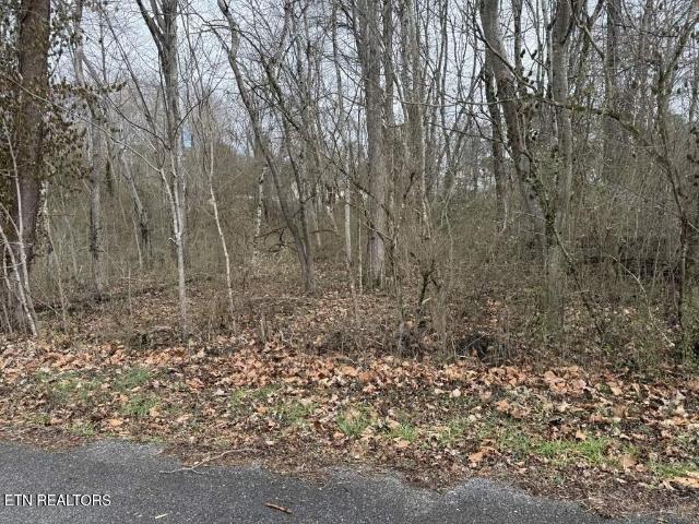 164 Jodys Lane