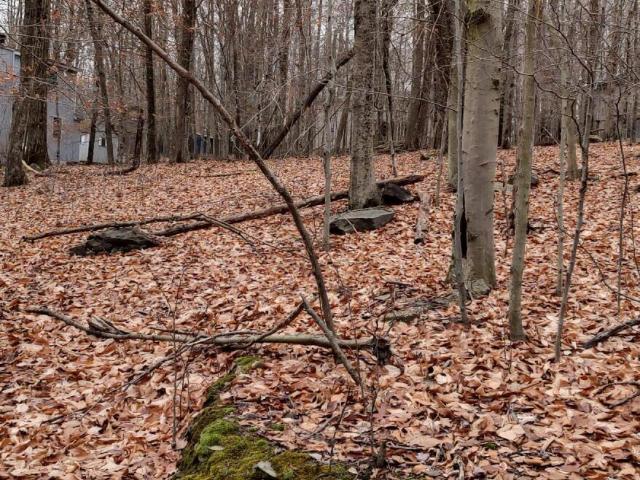 164 Mountain View Dr, Unit 1007, Pocono Lake, PA 18347 | MLS #PM 135995