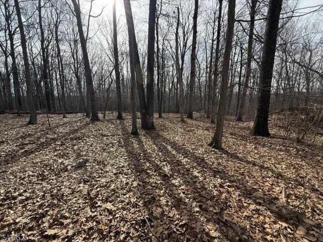 164 North Rd, Chester Township, NJ 07930