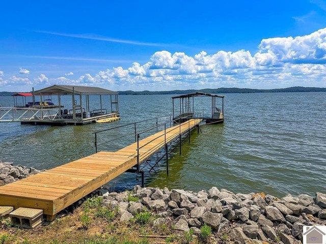 164 Red Water Dr, New Concord, KY 42076