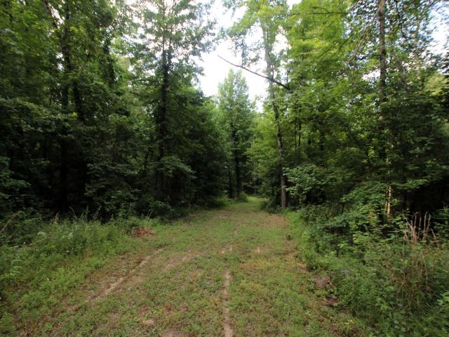 164 Reservior Road