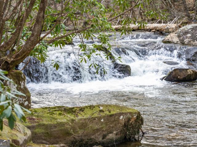 164 Water Dance Trail