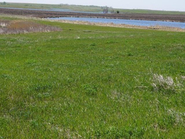16547 nd Ave, Florence, SD 57235