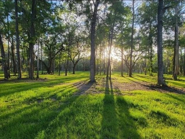 16545 NW 128th Ter Lots 37 & 36, Reddick, FL 32686