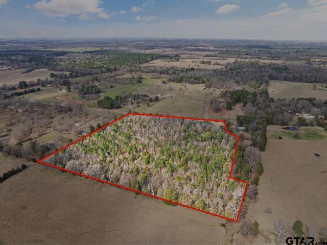 1654 Fm 593, Gilmer, TX 75644 | MLS #25007