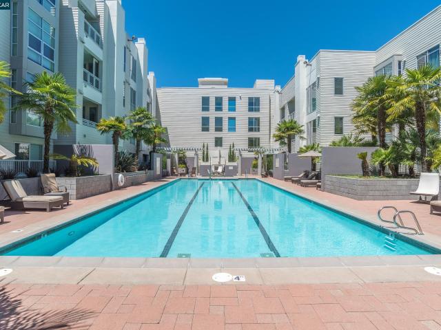 1655 N California Blvd 156