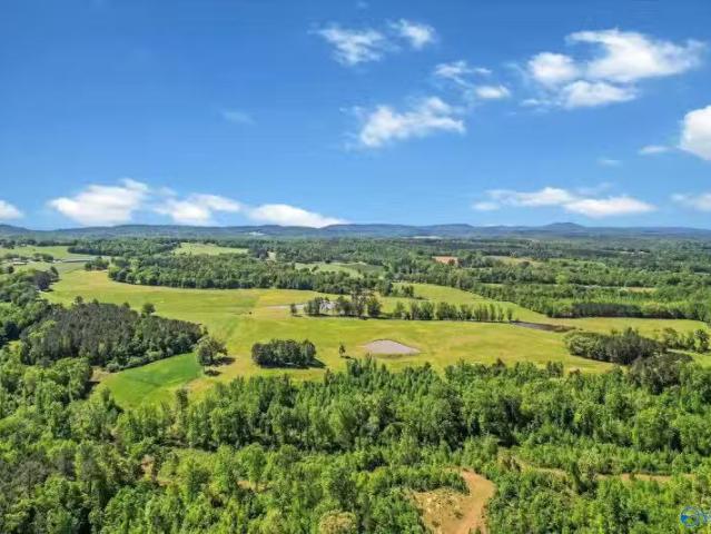 1657 HAMM RD, BLOUNTSVILLE, AL 35031 Vacant Land For Sale MLS.