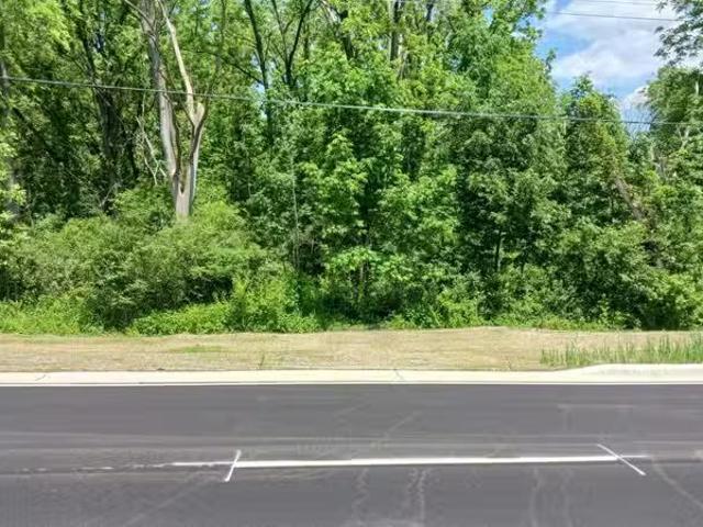 16501 135TH ST, LEMONT, IL 60439 Vacant Land For Sale MLS# 12.