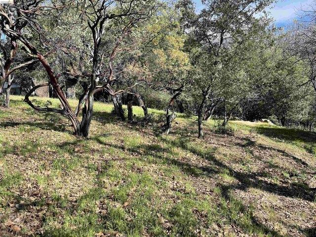 16505 S Creekside Dr, Sonora, CA 95370