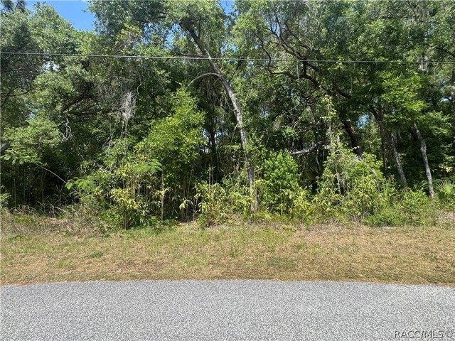 1650 N Paulette Ter, Inverness, FL 34453