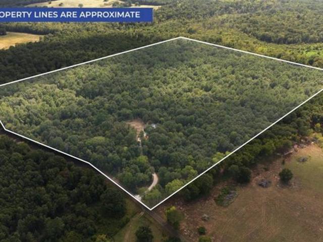 1651 County Road 4606, Troup, TX 75789