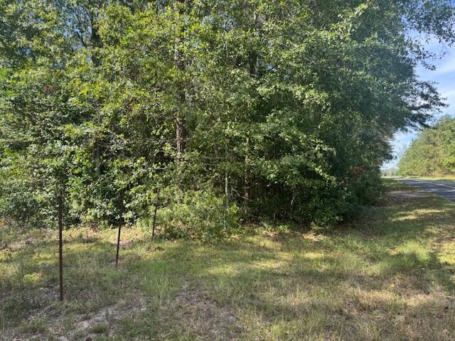 1651, 1571 Creek Mill Road