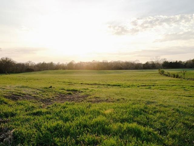 1652 Guy Ferrell Rd, Franklin, TN 37067