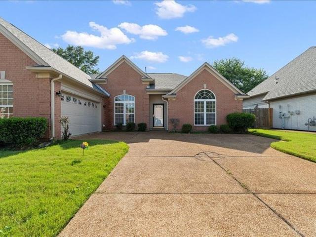 1653 Hailsham Cv, Cordova, TN 38016