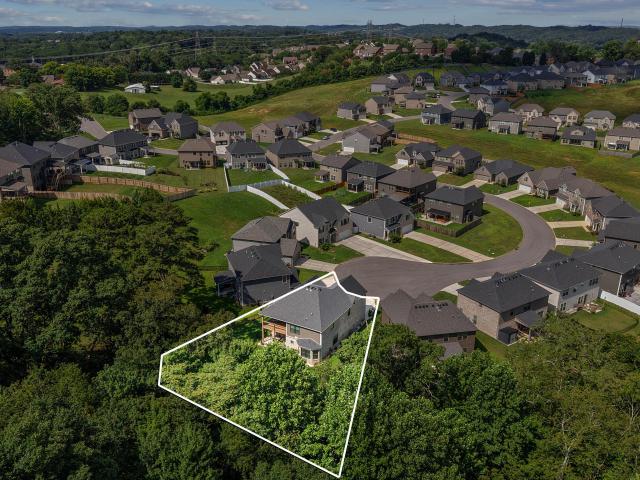 1653 Sugar Cane Lane