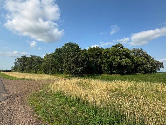 165th Ave NE, Foley, MN 56329
