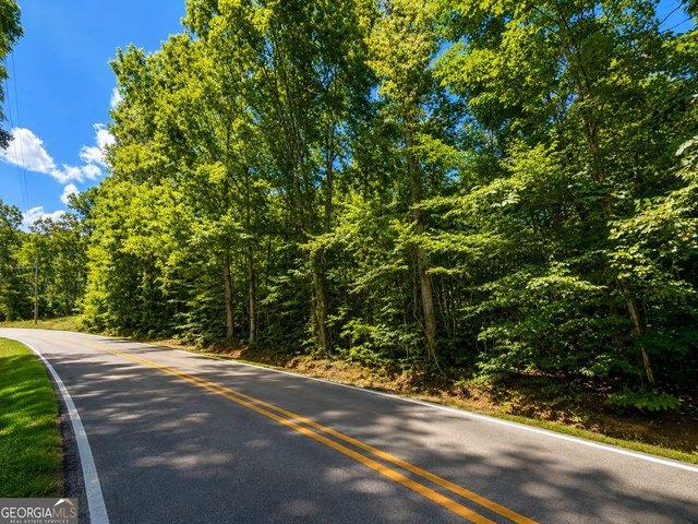 165 Cooper Valley Rd, Martin, GA 30557