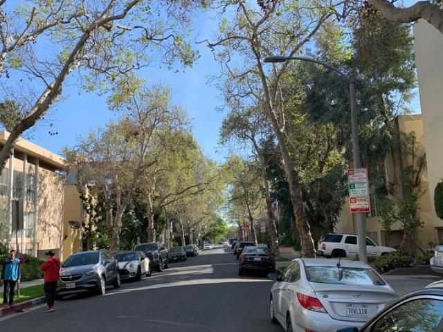 165 Almont 3 Bedroom Apartment for Rent at 165 N Almont Dr, Beverly Hills, CA 90211 Beverly Hills