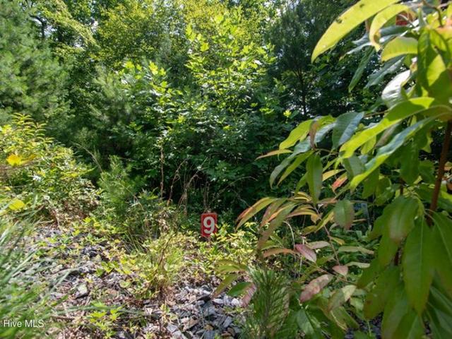 165 Desoto Trl Lot 9, Marble, NC 28905