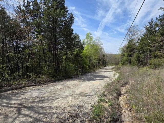 165 Mc # 3061, Yellville, AR 72687