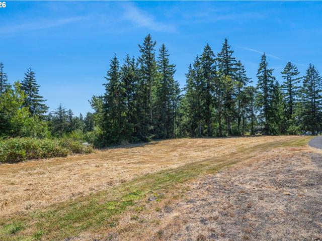 165 Saturn Ave, Woodland, WA 98674 | MLS #619231