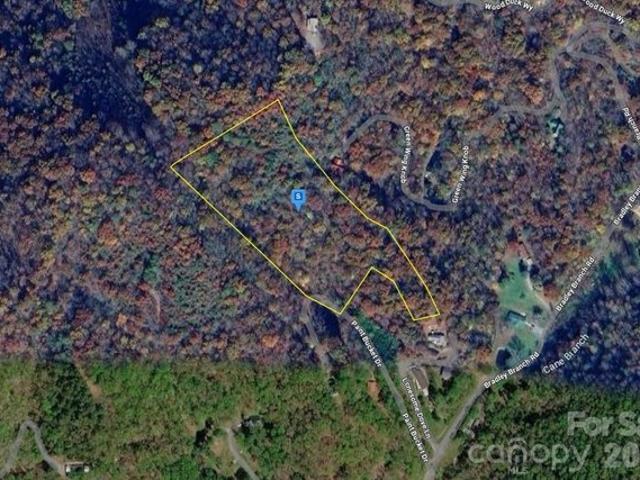 165 Paint Bucket Dr, Whittier, NC 28789