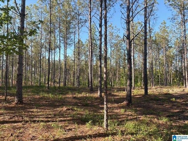 165 Queen Dr Lot 7, Columbiana, AL 35051