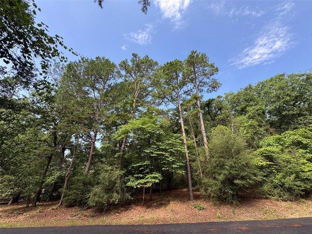165 Whipporwill Ln, Holly Lake Ranch, TX 75765